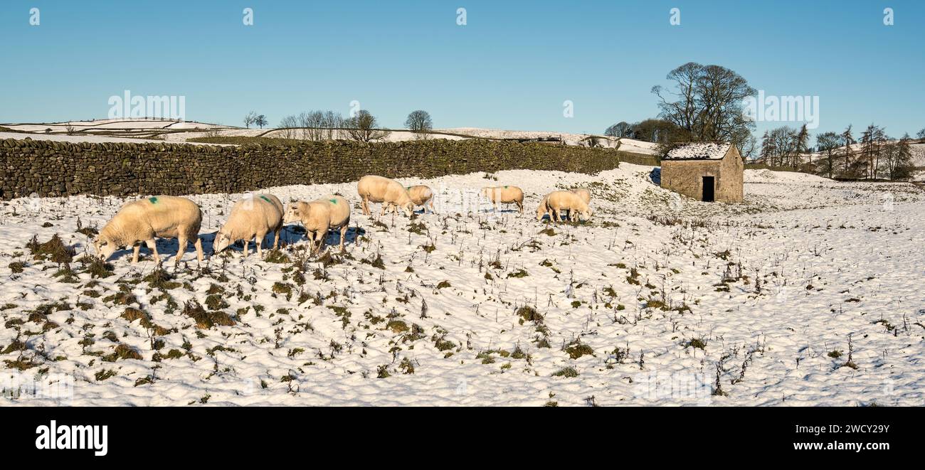 17th january 2024 long preston hi-res stock photography and images - Alamy