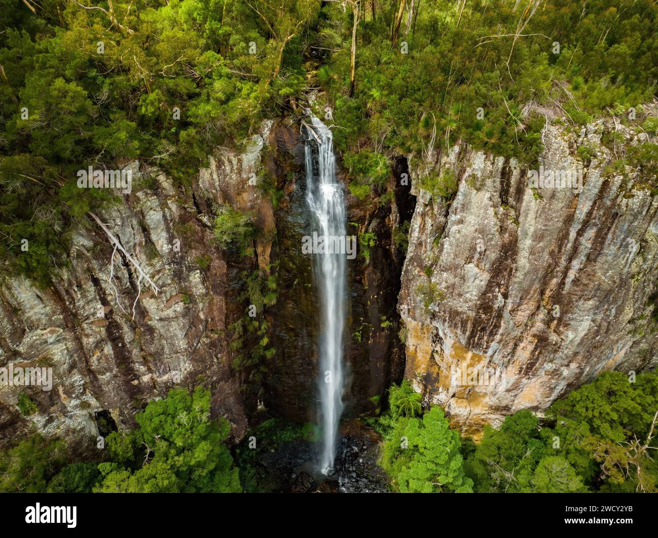 Springbrook national park hi-res stock photography and images - Alamy