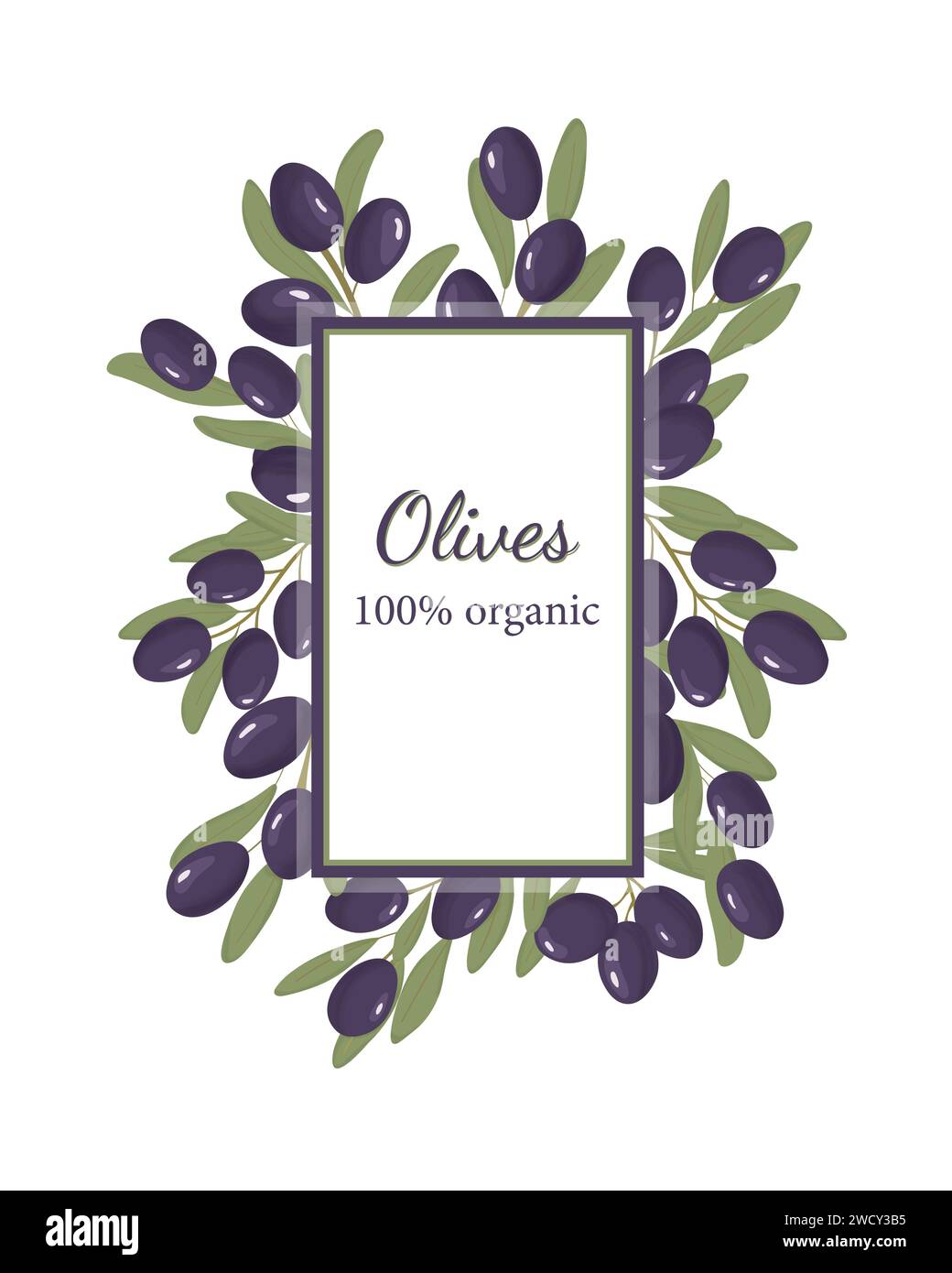 Organic olives label. Purple olives set. Fruit banner. Kalamata olives ...