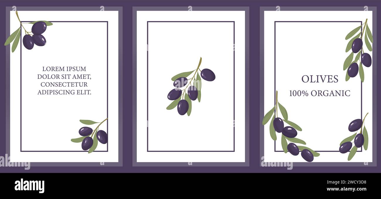 Purple olives template set. Fruit labels set. 3 labels of purple olives ...