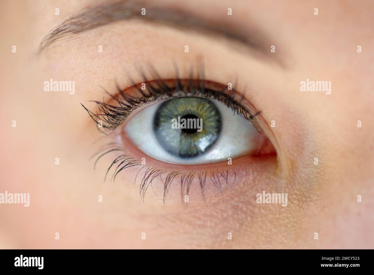 Retinal scan hi-res stock photography and images - Alamy