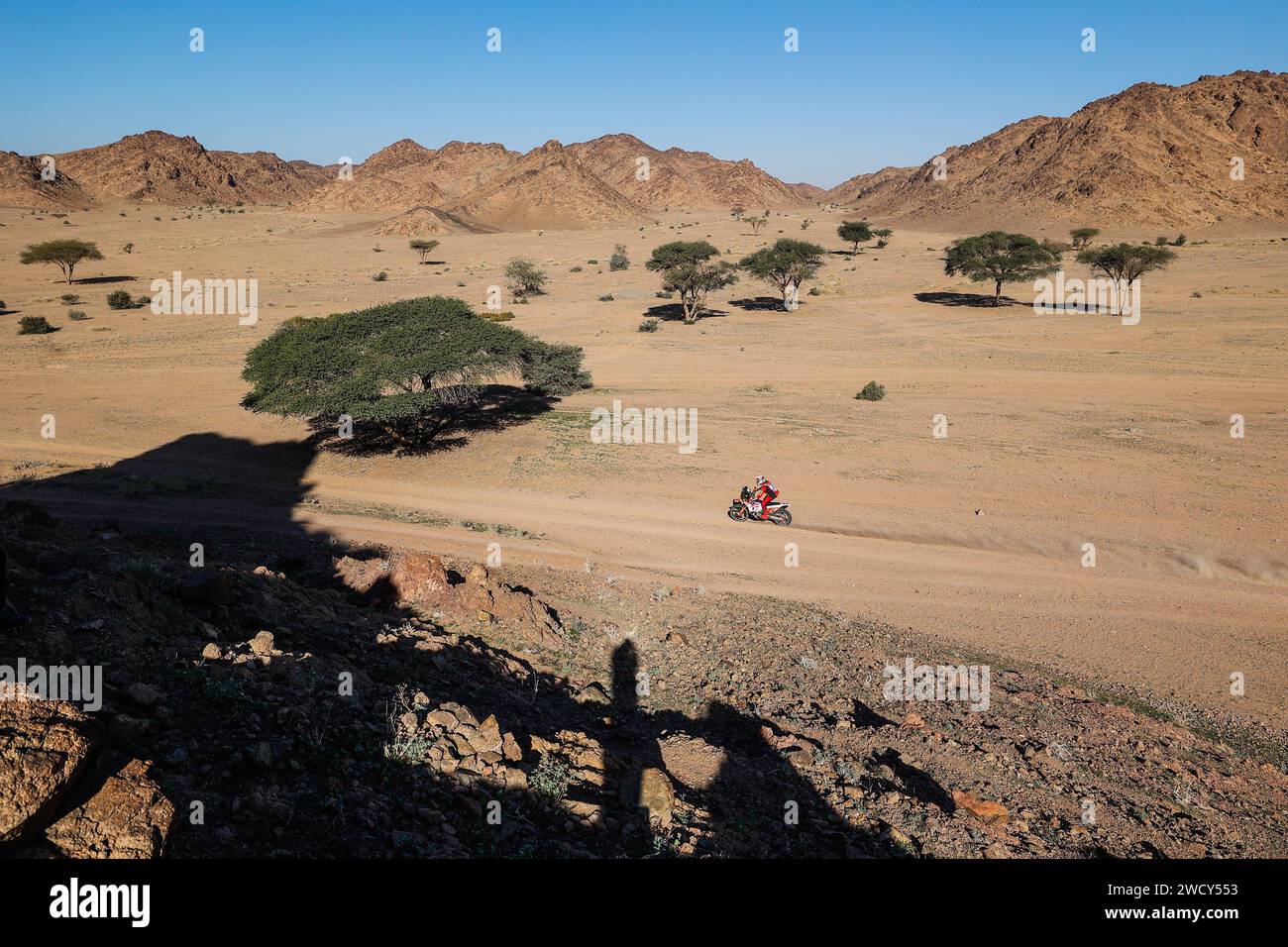 24 MULEC Toni (svk), BAS World KTM Racing Team, KTM, Moto, FIM W2RC, action during the Stage 10 ...