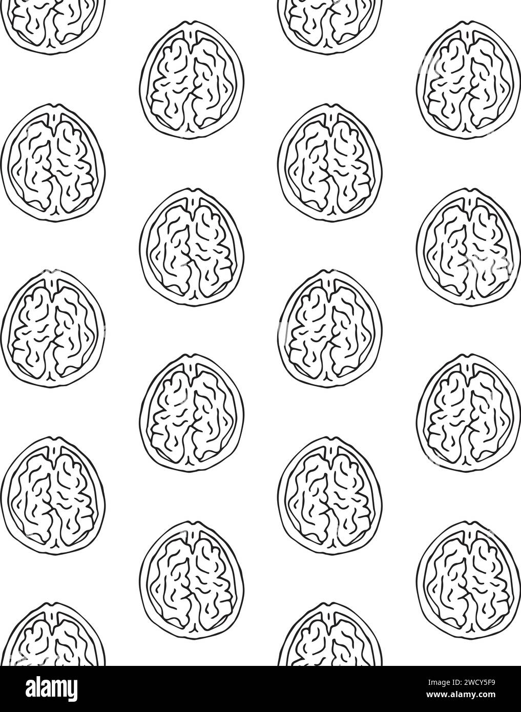 Vector seamless pattern of hand drawn doodle sketch Walnut nut isolated ...