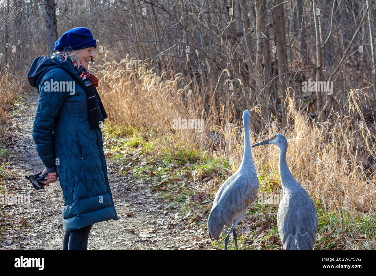 Nancy brigham hi-res stock photography and images - Alamy