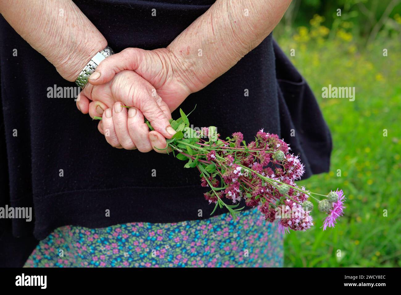Contemplation of nature by an elderly person on his farm Stock Photo ...
