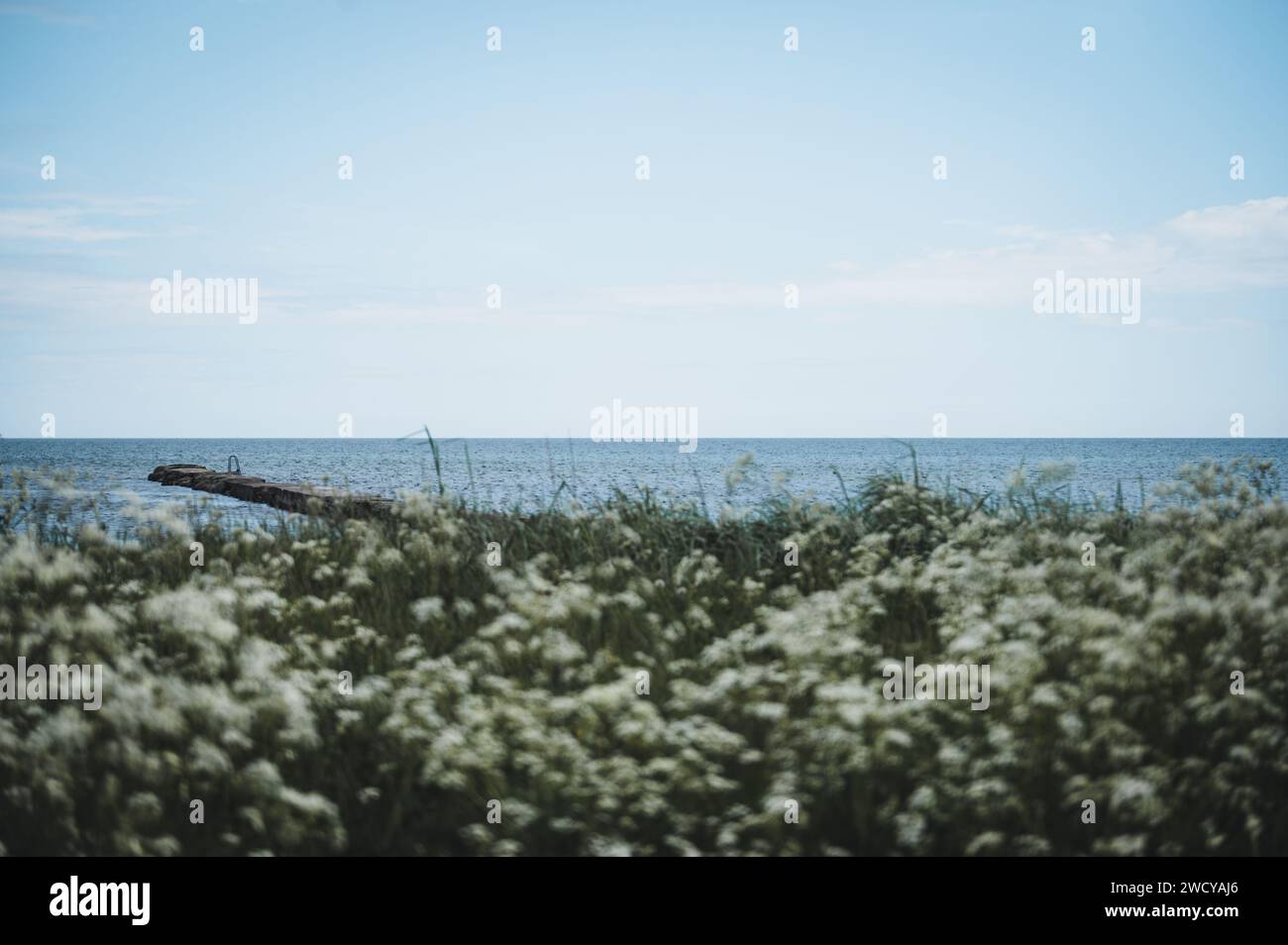 White background sweden hi-res stock photography and images - Alamy