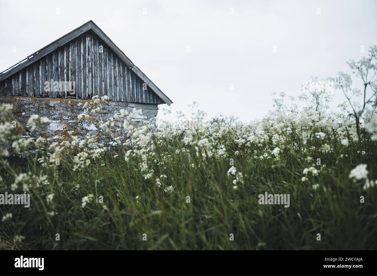 White background sweden hi-res stock photography and images - Alamy