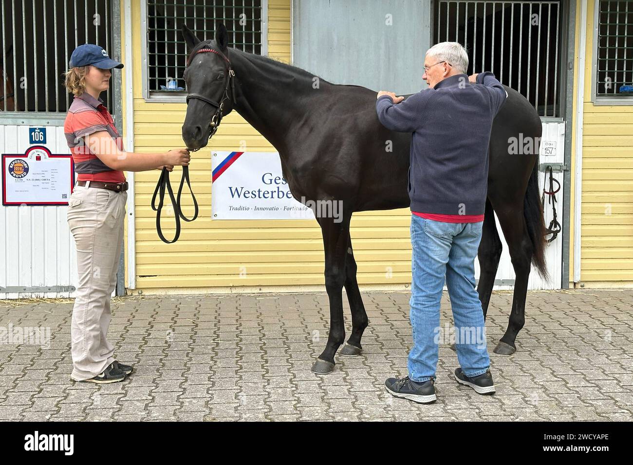 Pferdeauktion hi-res stock photography and images - Alamy