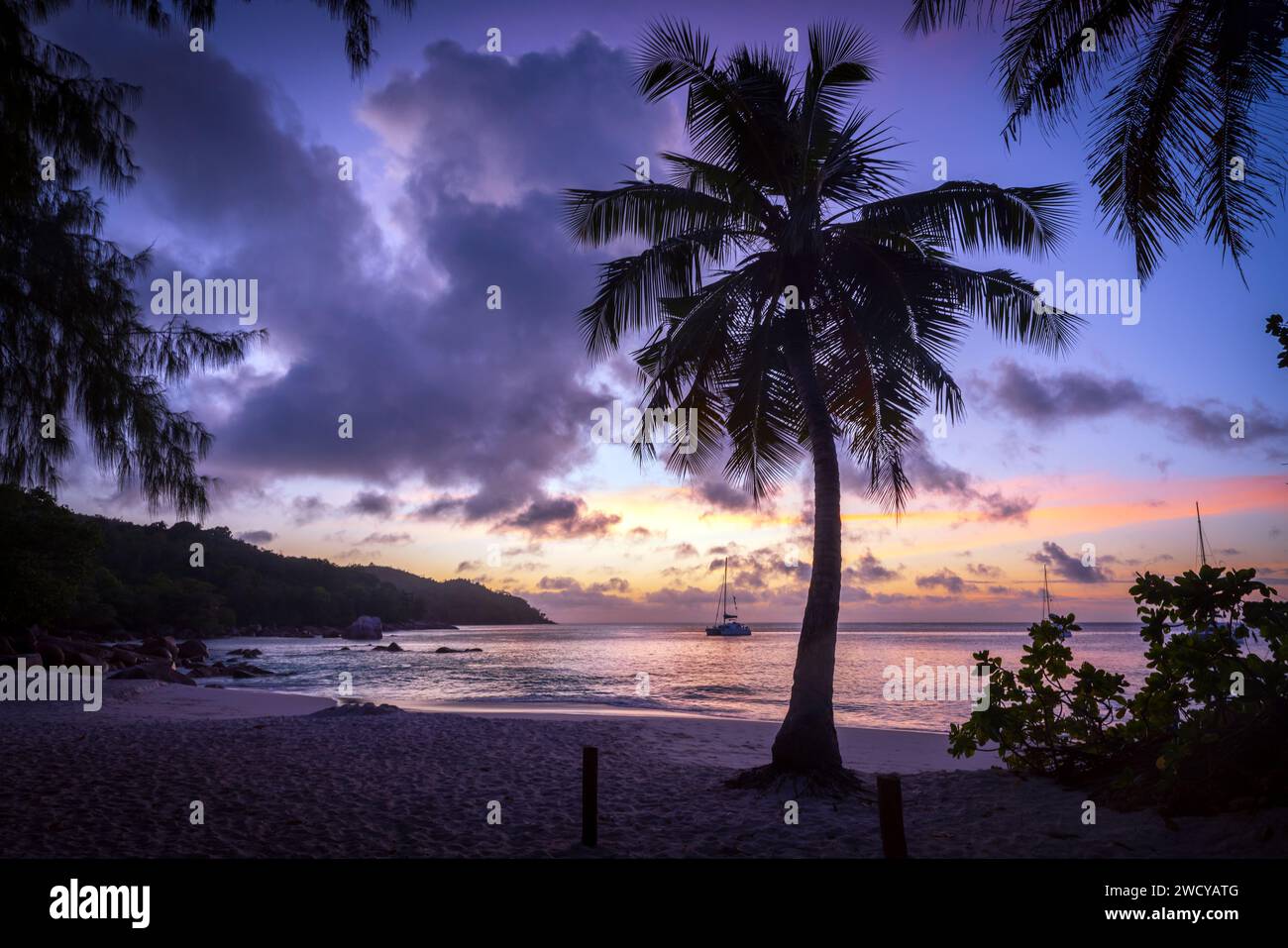 Coastal landscape of Anse Lazio beach with silhouette of palm tree on a ...