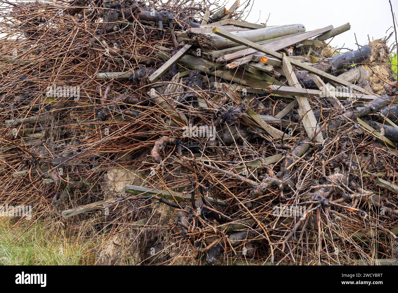 Tree sections, plant waste and wood in a pile Stock Photo - Alamy
