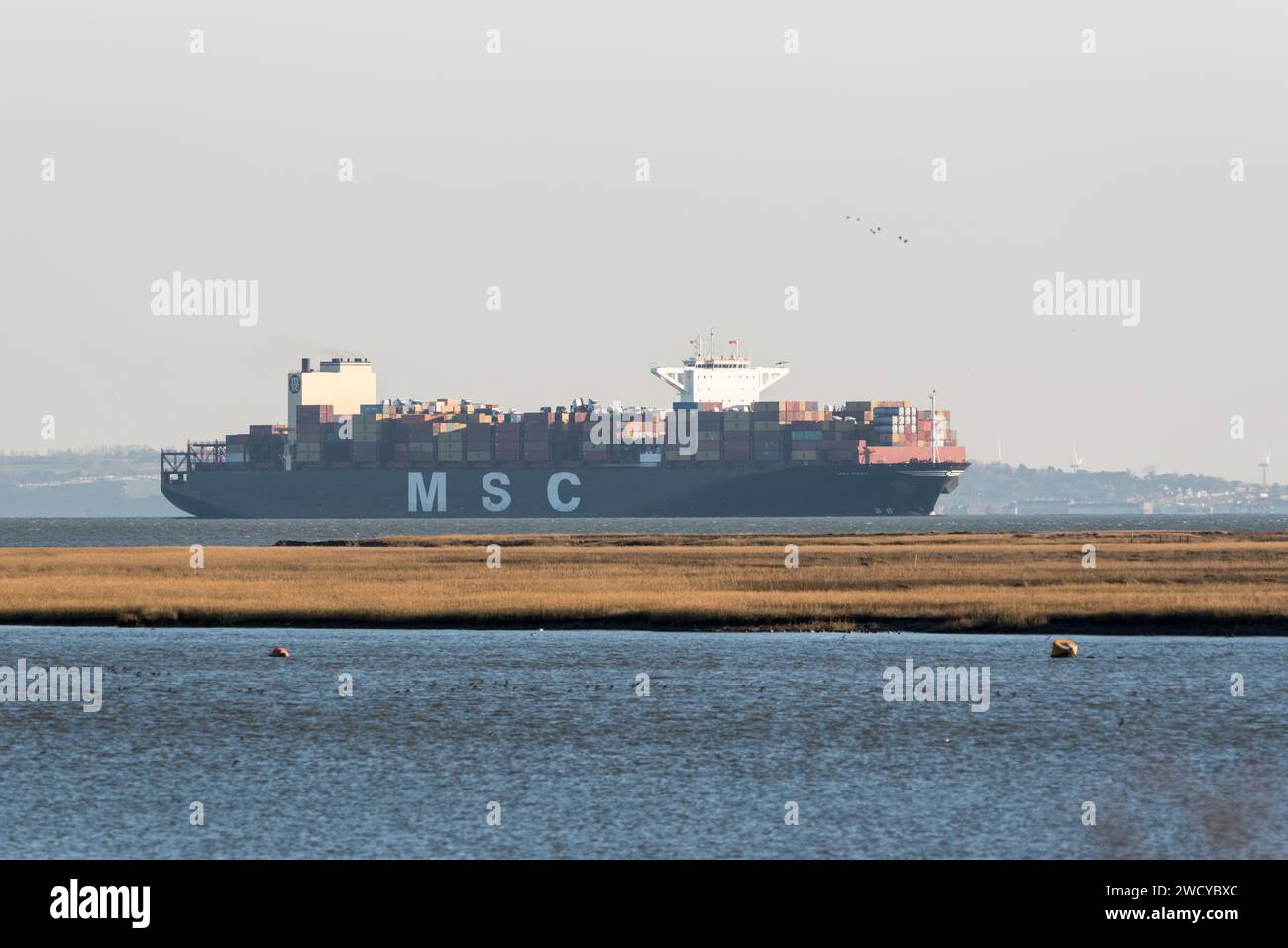 Container ship MSC Virgo entering the River Thames Stock Photo - Alamy