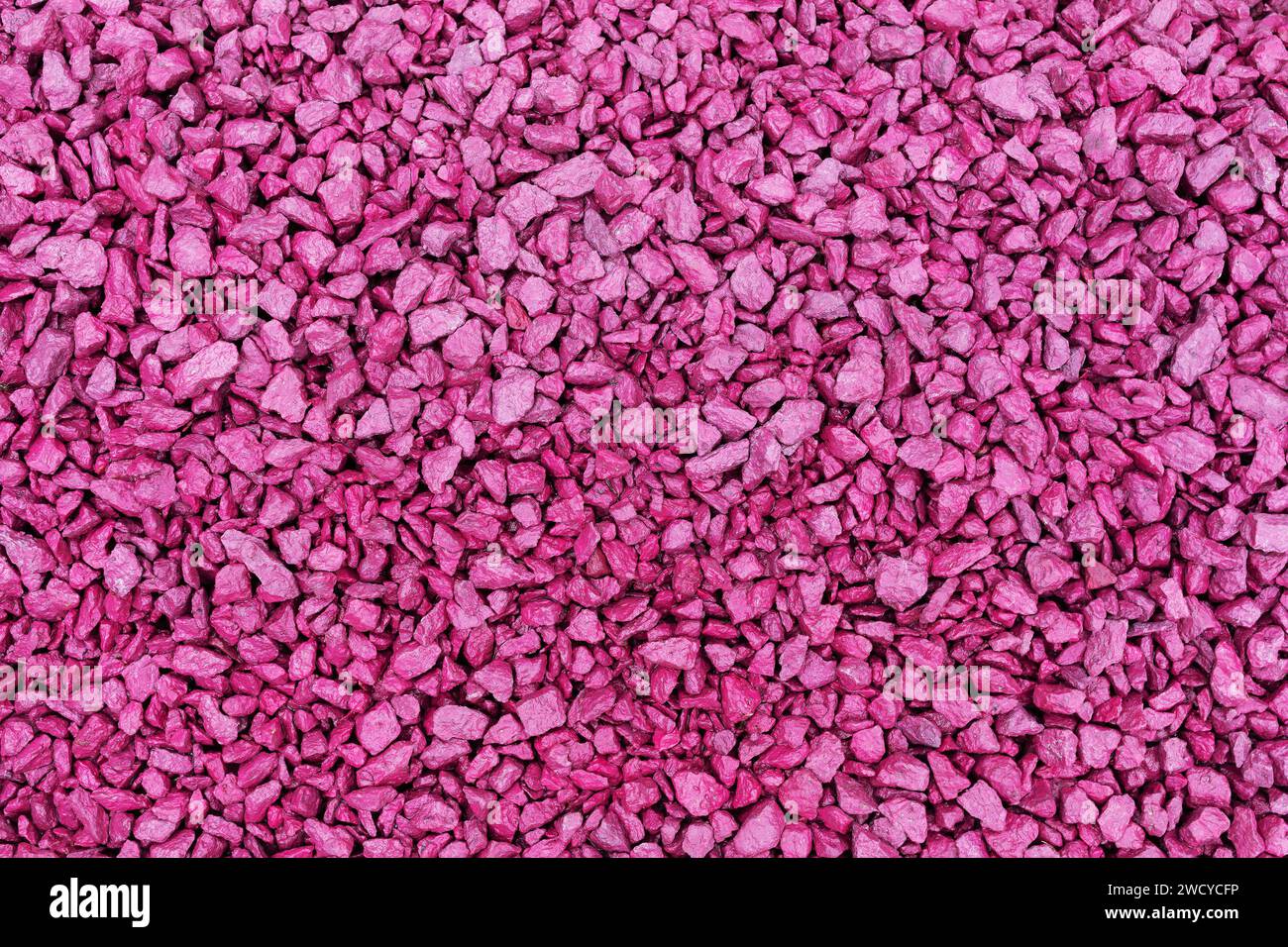 Fuchsia color hi-res stock photography and images - Alamy