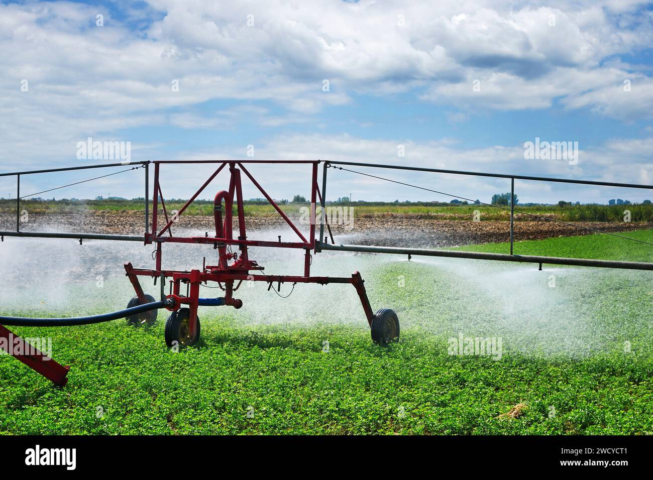 modern irrigation system watering in the field Stock Photo - Alamy