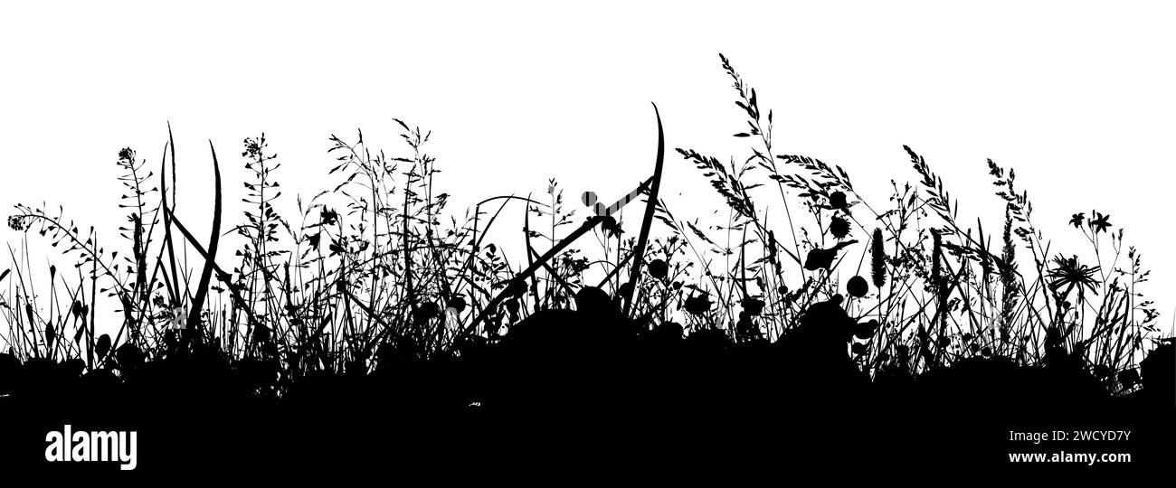 Black silhouette of grass. Skyline. Floral background. Wild grass. hand ...
