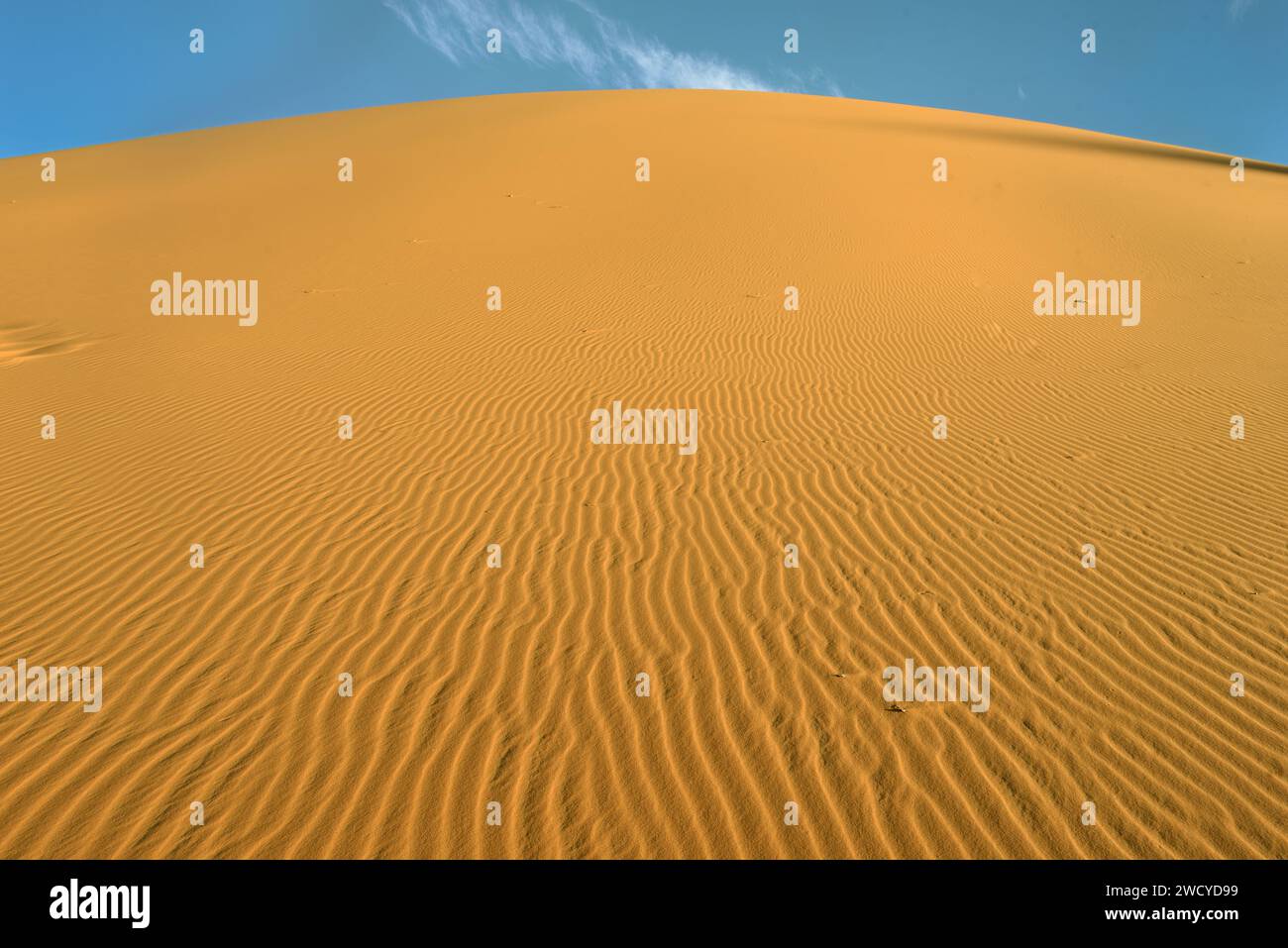 SAHARA DESERT WITH SAND DUNES, SAND PATTERNS AROUND DJANET OASIS IN ...