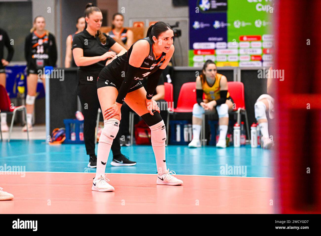 Dresden, Deutschland. 17th Jan, 2024. Maddie Haynes (Viteos Neuchatel ...