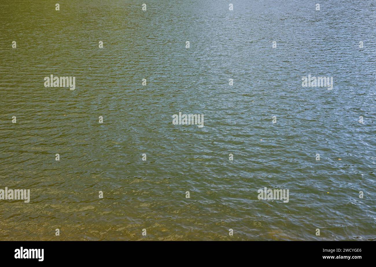 Texture of contaminated river water. The consequences of pollution ...