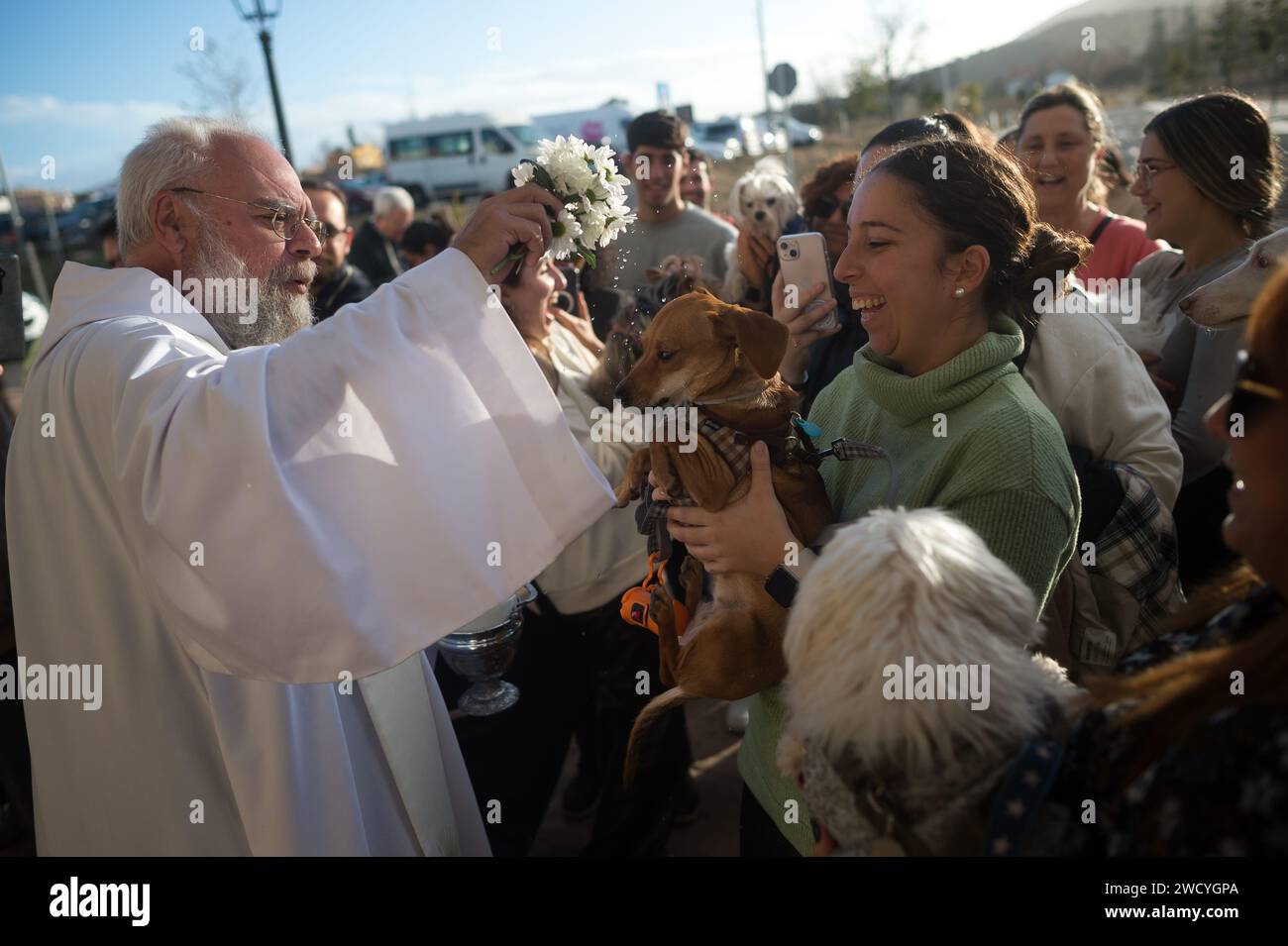 A priest blesses a dog outside San Anton church at the neighborhood of ...