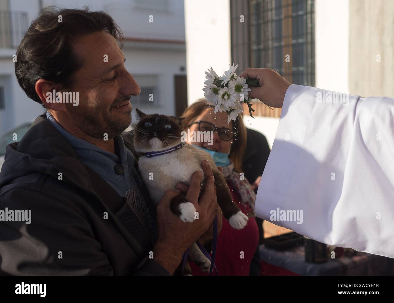 Malaga, Spain. 17th Jan, 2024. A cat is blessed by a priest outside San ...