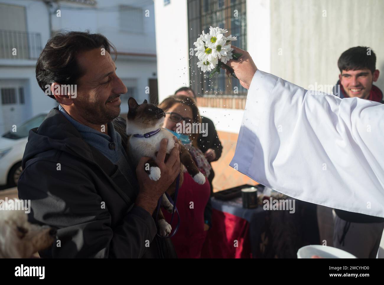 Malaga, Spain. 17th Jan, 2024. A cat is blessed by a priest outside San ...