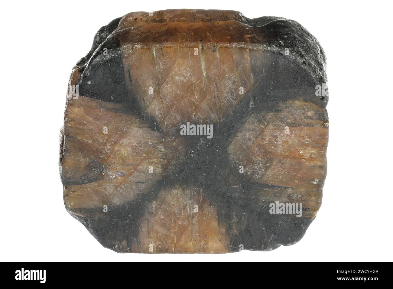 chiastolite from Chile isolated on white background Stock Photo - Alamy