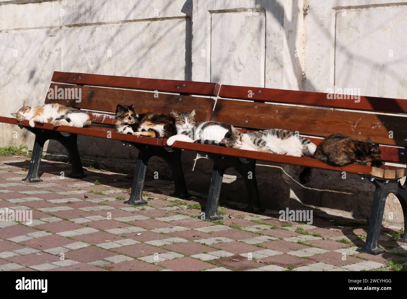 Funny park bench hi-res stock photography and images - Alamy