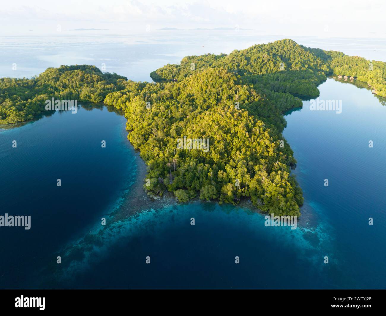 Early sunlight illuminates calm seas around the island of Yangeffo in ...