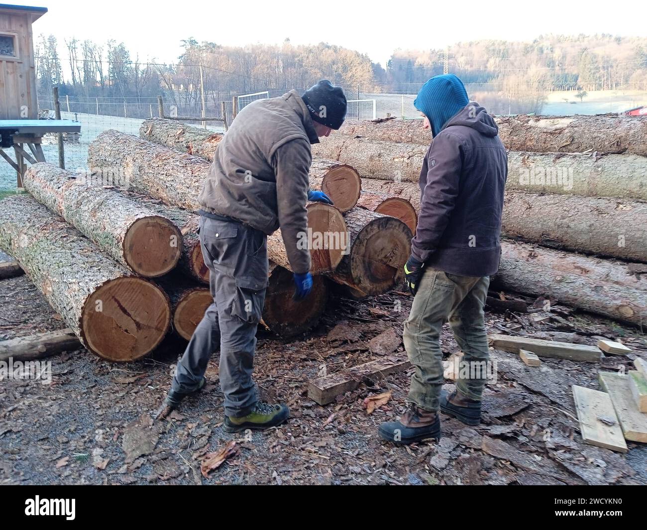 the wood or timber industry, industrial use of natural ressources the ...