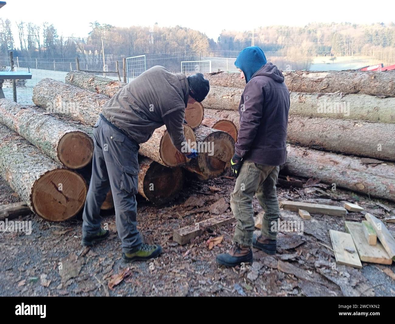 the wood or timber industry, industrial use of natural ressources the ...
