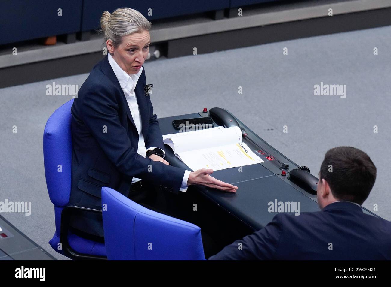 Sitzung des Deutschen Bundestags, Alice Weidel, AfD Sitzung des ...