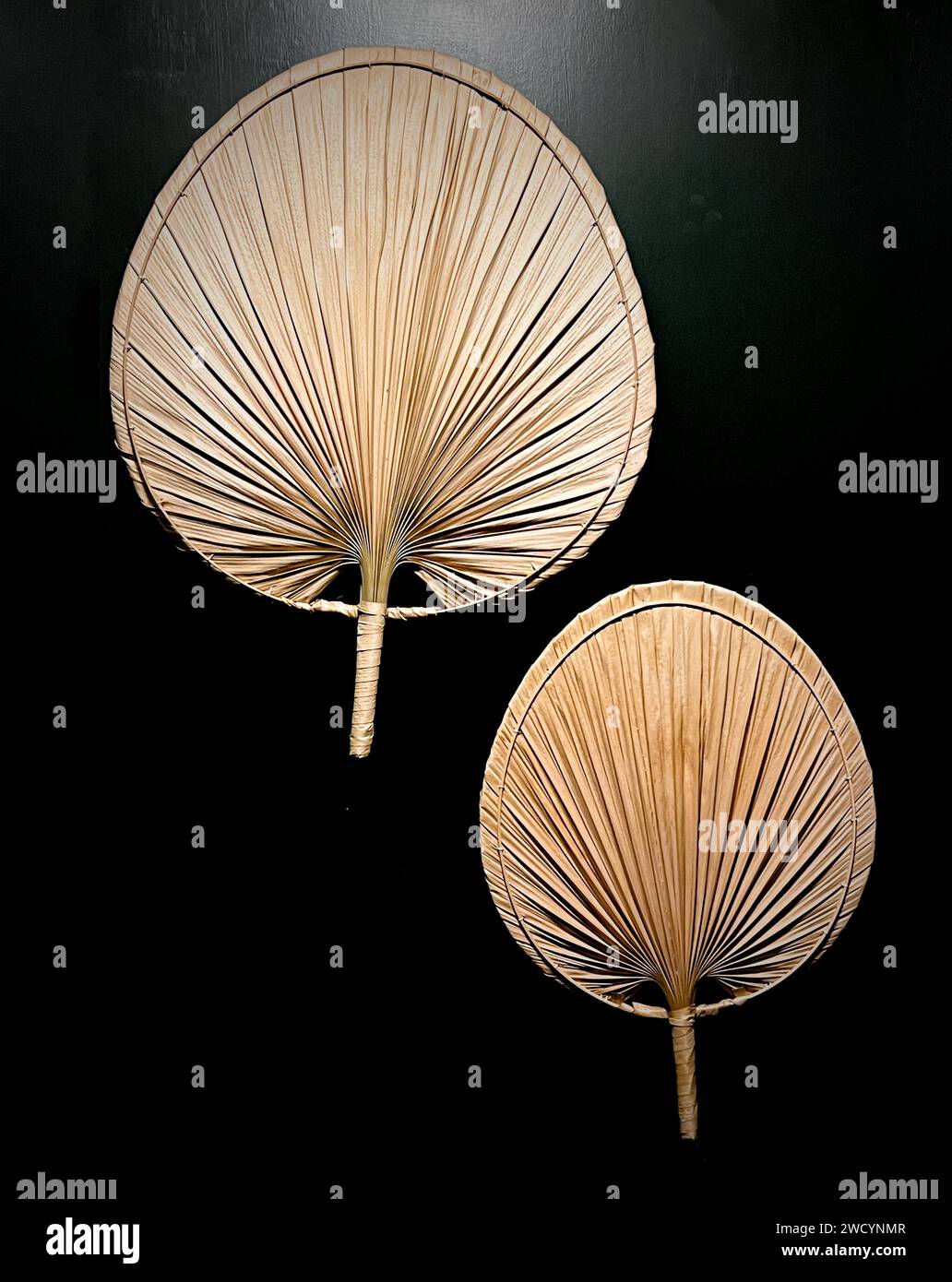 Traditional chinese fans hi-res stock photography and images - Alamy