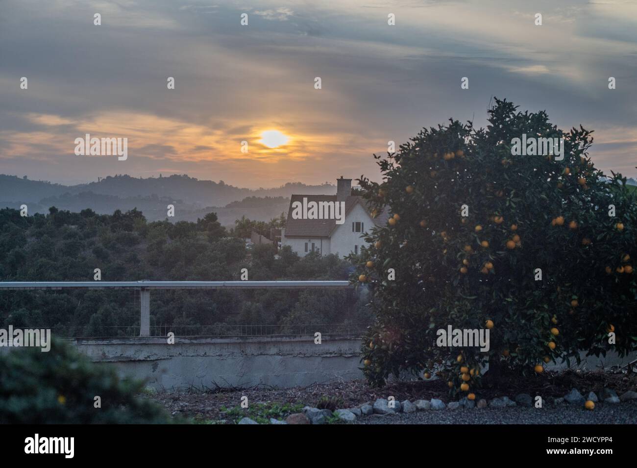 House building orange tree hi-res stock photography and images - Alamy