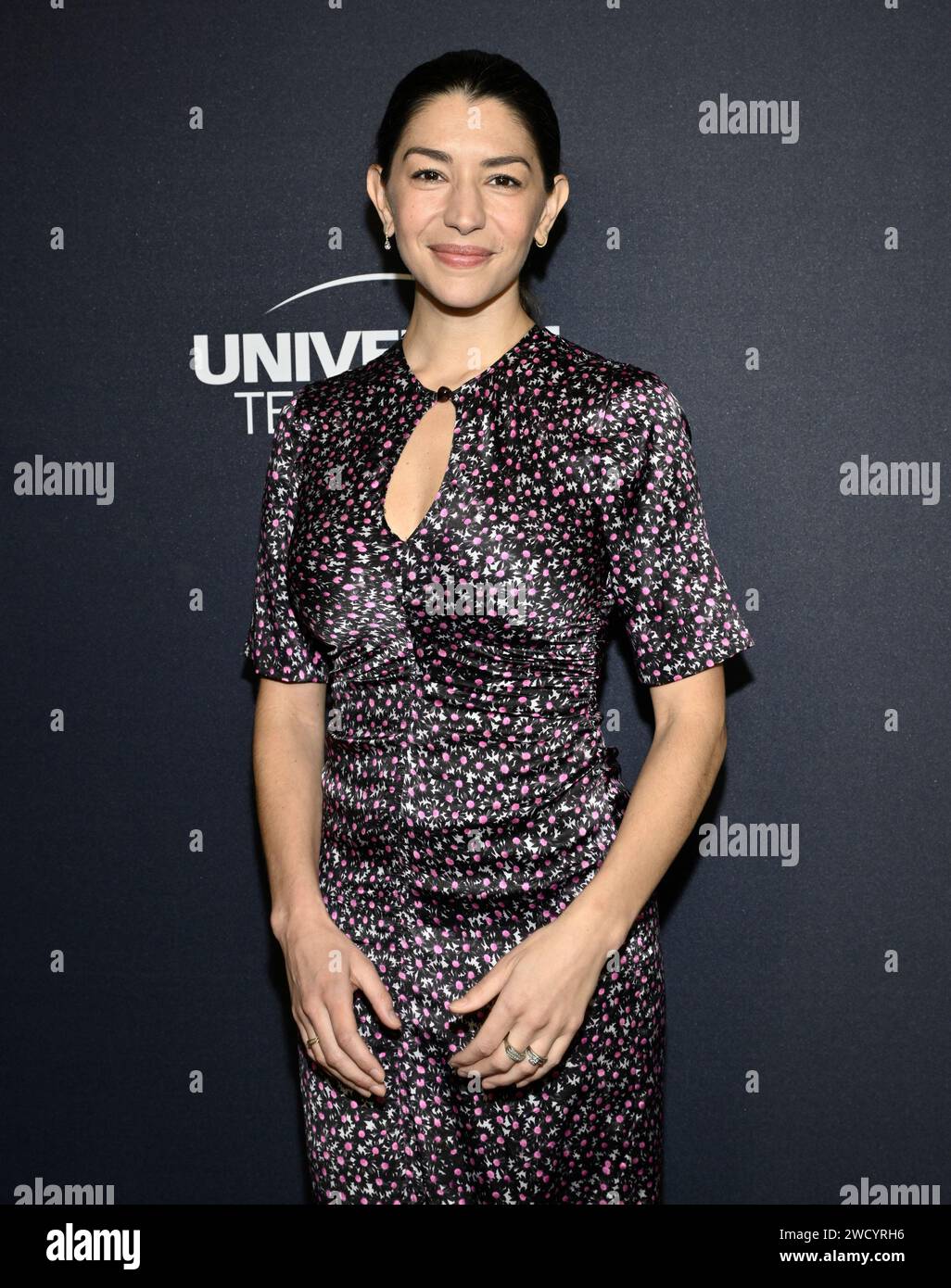 Jamie Gray Hyder attends the "Law & Order: SVU" 25th anniversary ...