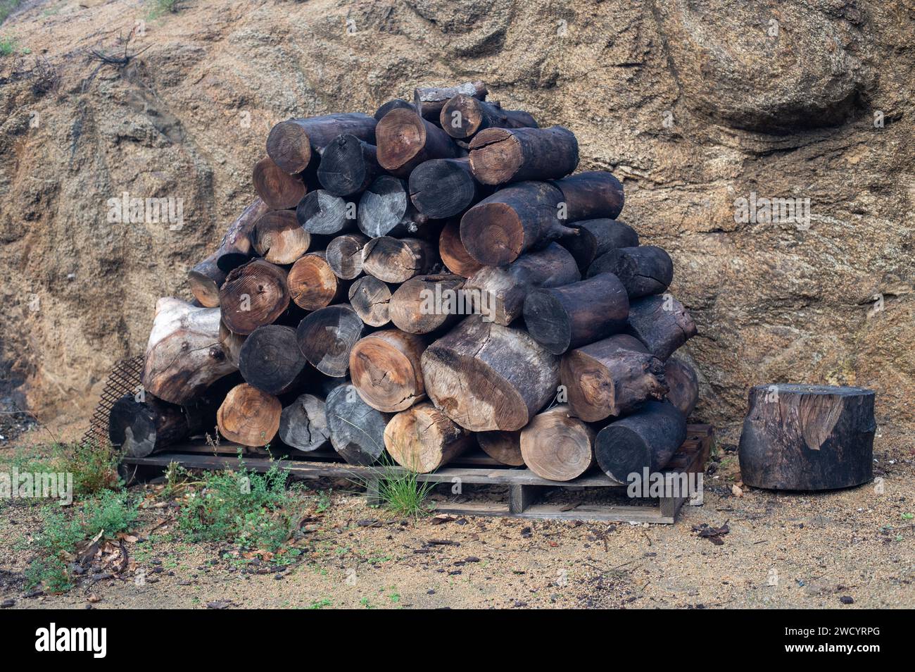 Smooth logs hi-res stock photography and images - Alamy
