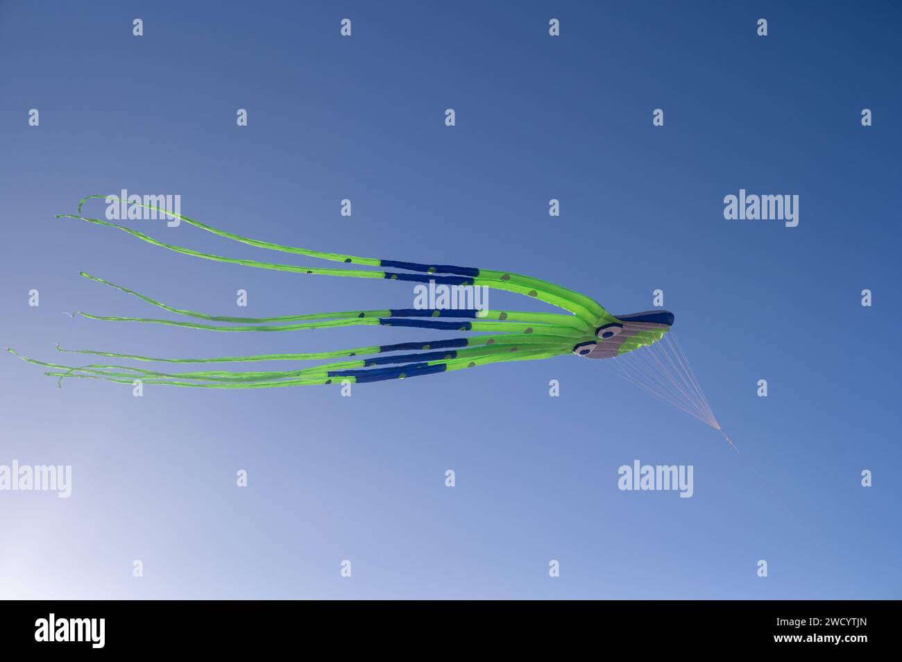 A kite in octopus form Stock Photo - Alamy