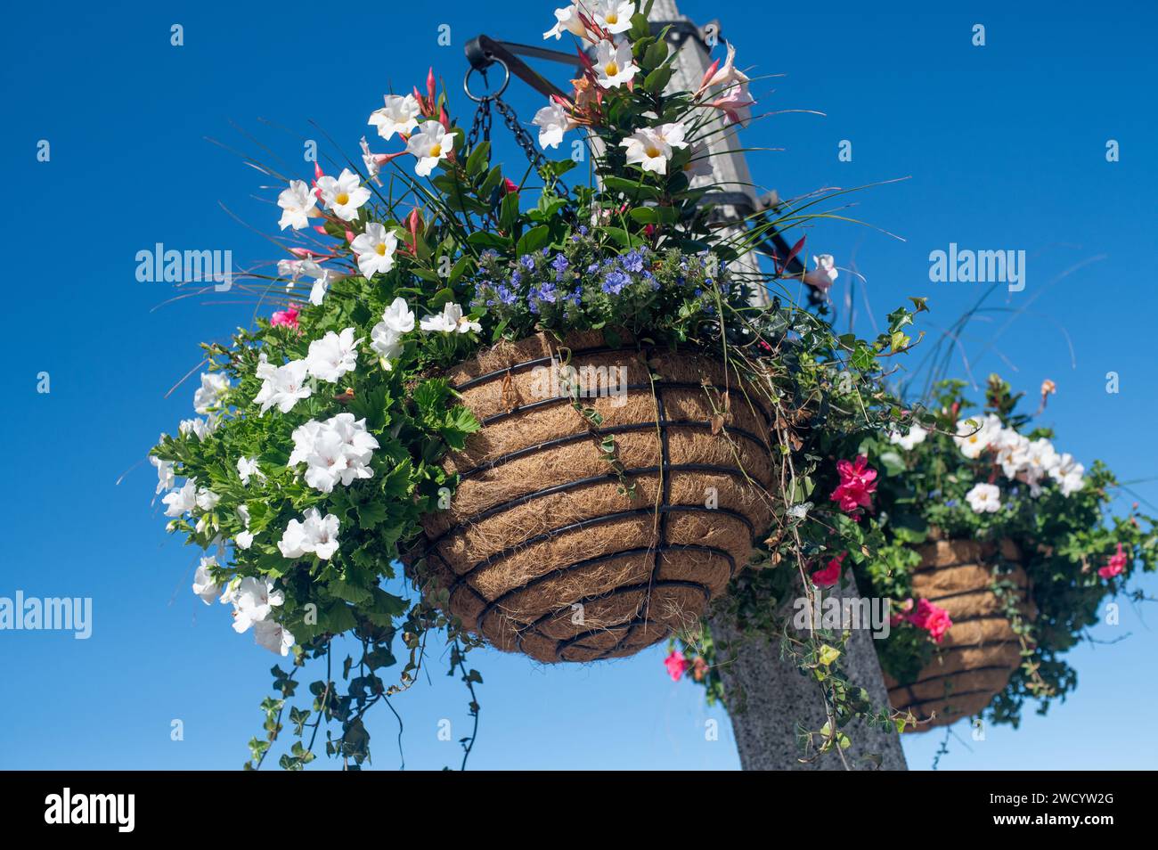 Flowers on the pole hi-res stock photography and images - Alamy