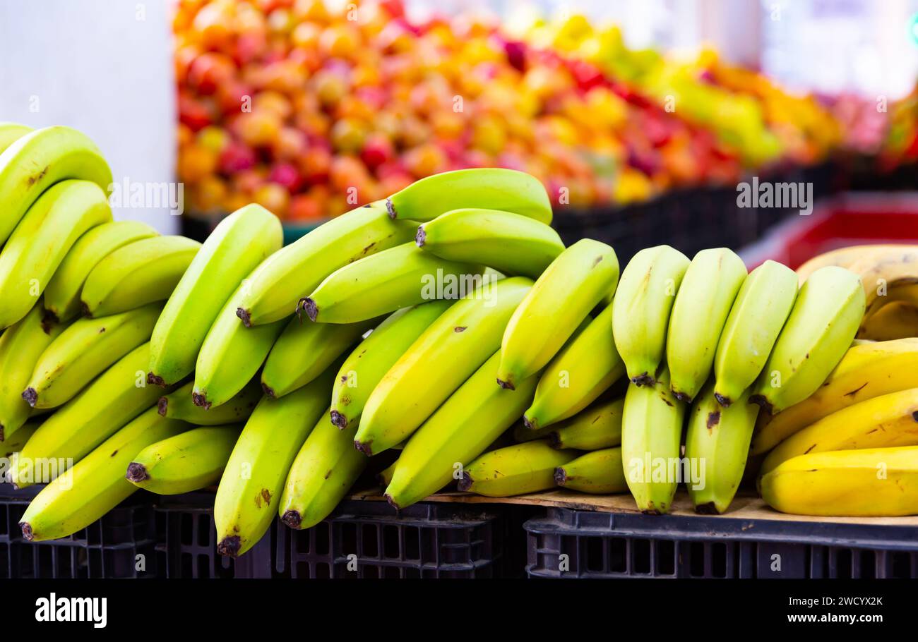 Bunches of yellow bananas on the stand in open-air fruit and vegetable ...
