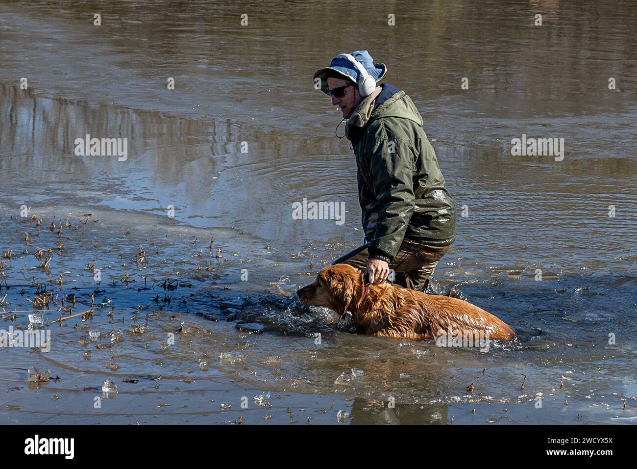 Denton, Texas, USA. 17th Jan, 2024. A dog owner bravely enters a frozen ...