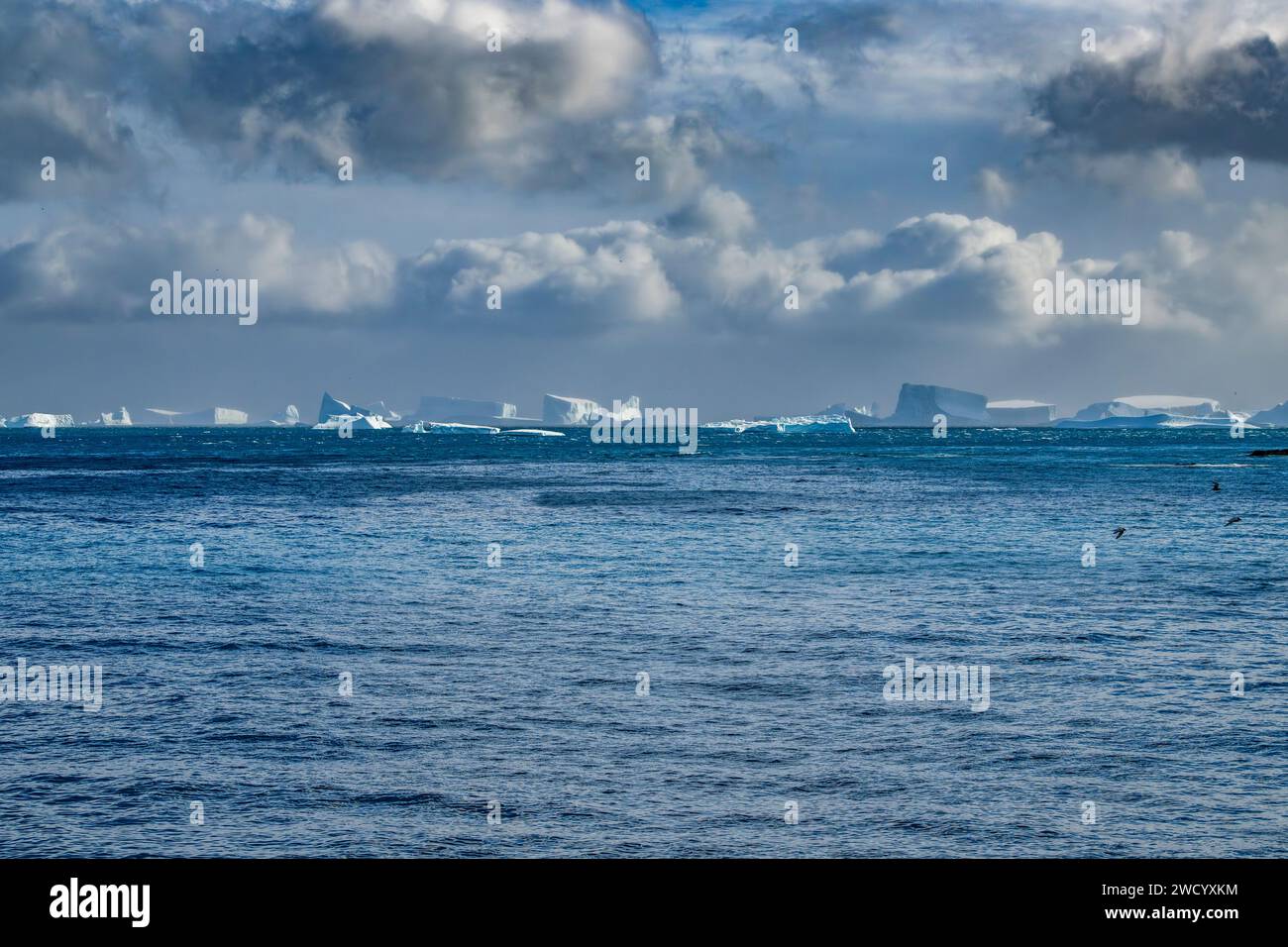 Icebergs in Cooper Bay and Drygalski Fjord, South Georgia Island ...