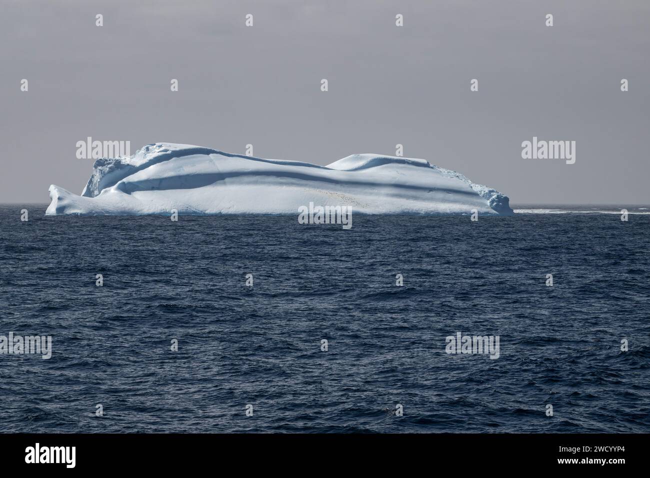 Iceberg at sea between South Georgia Island and the Antarctic Peninsula ...
