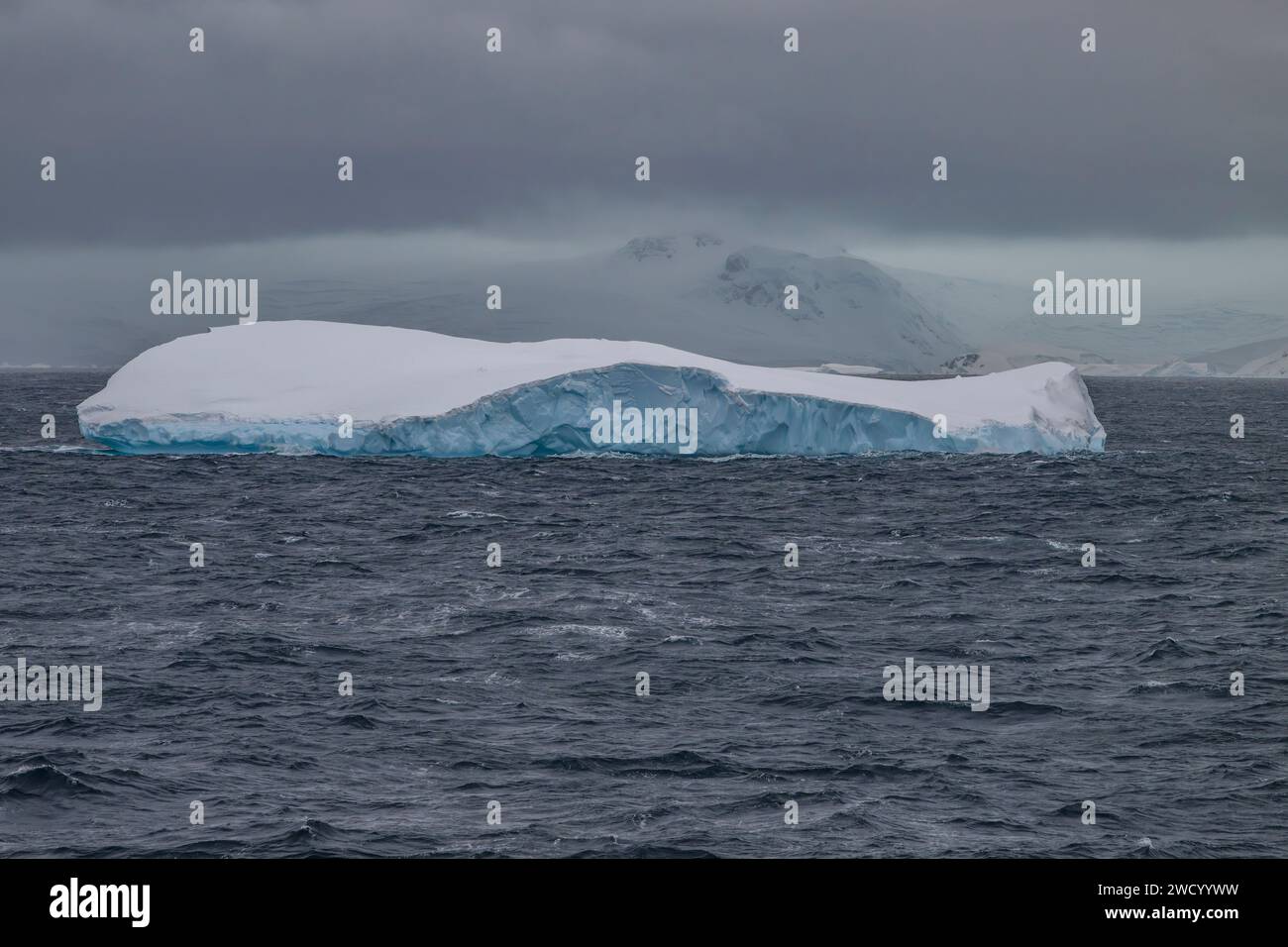 Icebergs Brialmont Cove, Antarctica, Antarctic peninsula, numerous ...