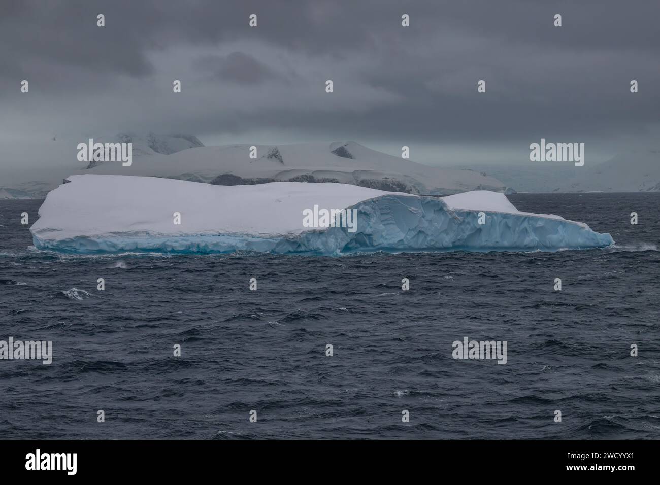 Icebergs Brialmont Cove, Antarctica, Antarctic peninsula, numerous ...