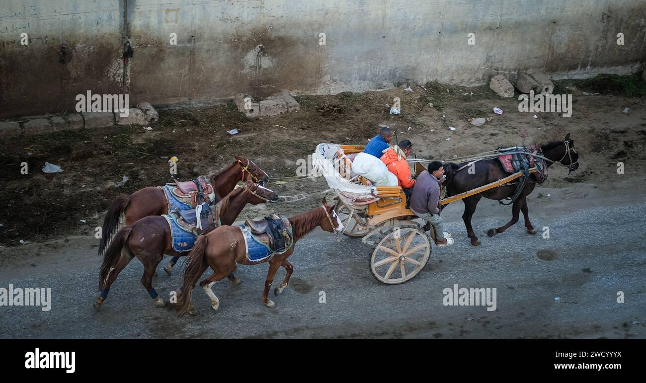 Tourist Horse Carriage in Egypt. Tourist Horse Carriage in Egypt ...