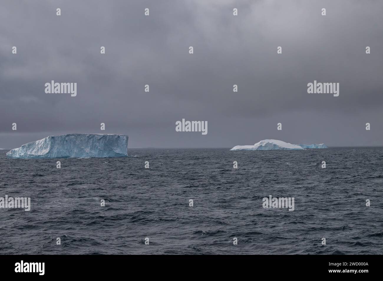 Icebergs Brialmont Cove, Antarctica, Antarctic peninsula, numerous ...