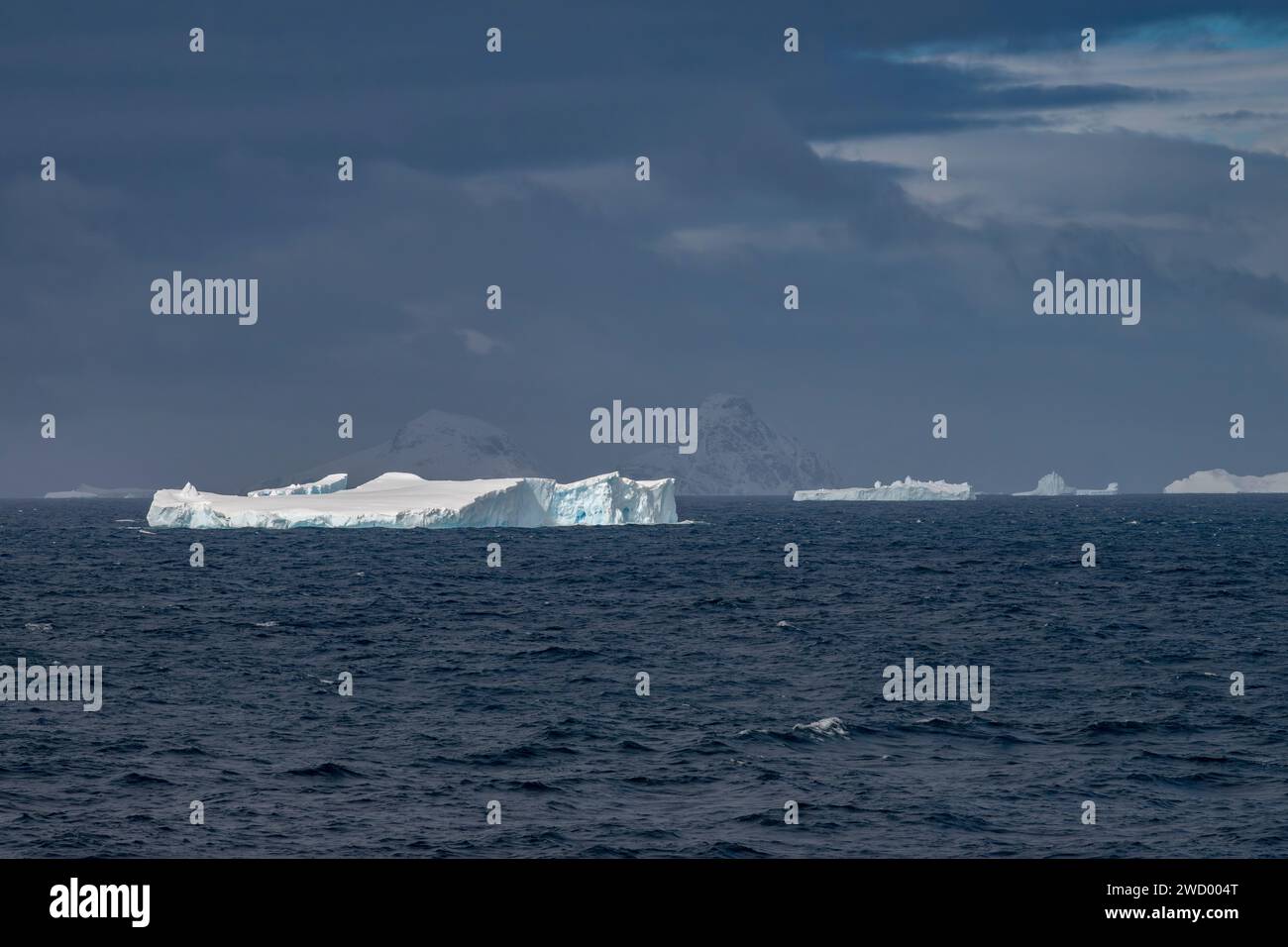Icebergs Brialmont Cove, Antarctica, Antarctic peninsula, numerous ...