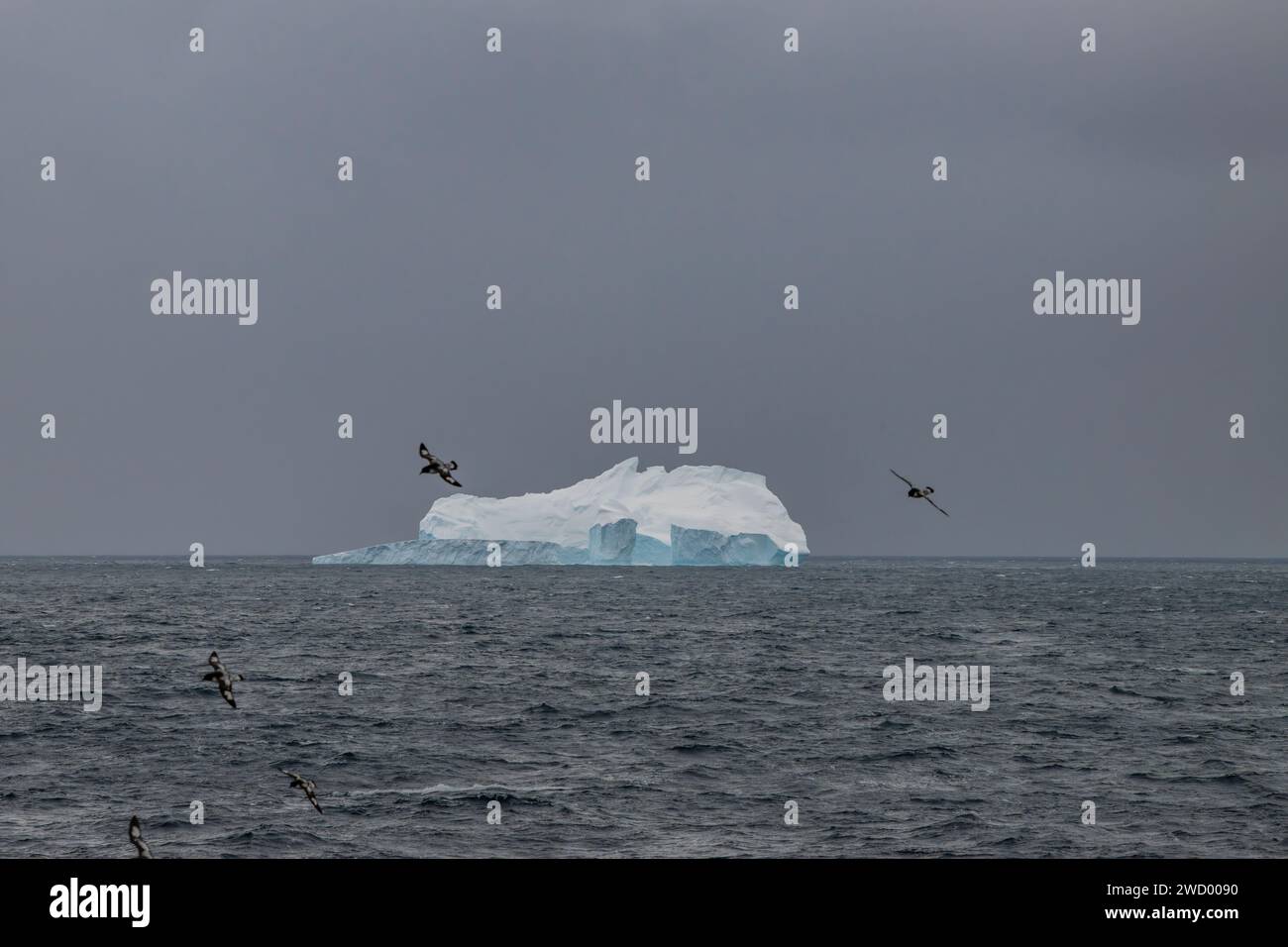 Icebergs Brialmont Cove, Antarctica, Antarctic peninsula, numerous ...