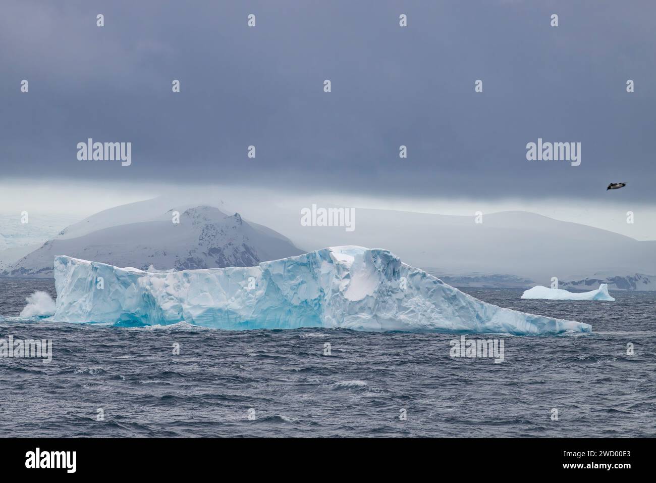 Icebergs Brialmont Cove, Antarctica, Antarctic peninsula, numerous ...
