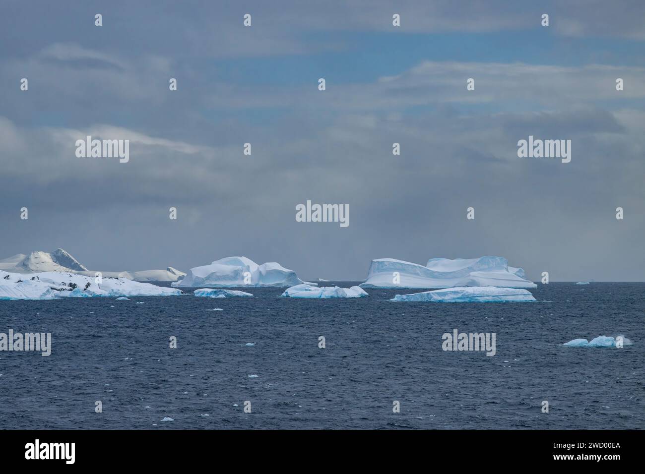 Icebergs Brialmont Cove, Antarctica, Antarctic peninsula, numerous ...