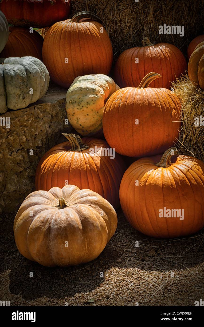Squash driveway hi-res stock photography and images - Alamy