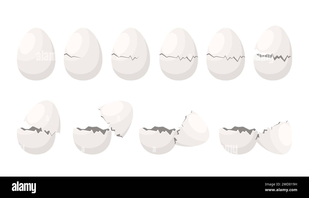 Broken egg set, sequence game animation. Eggshell crack steps for cooking, breaking stages from ...